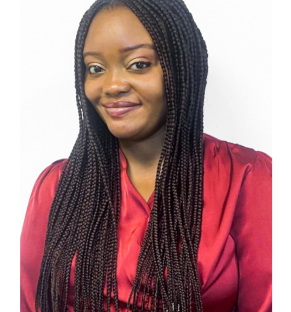 OmniRetail Africa - About Us